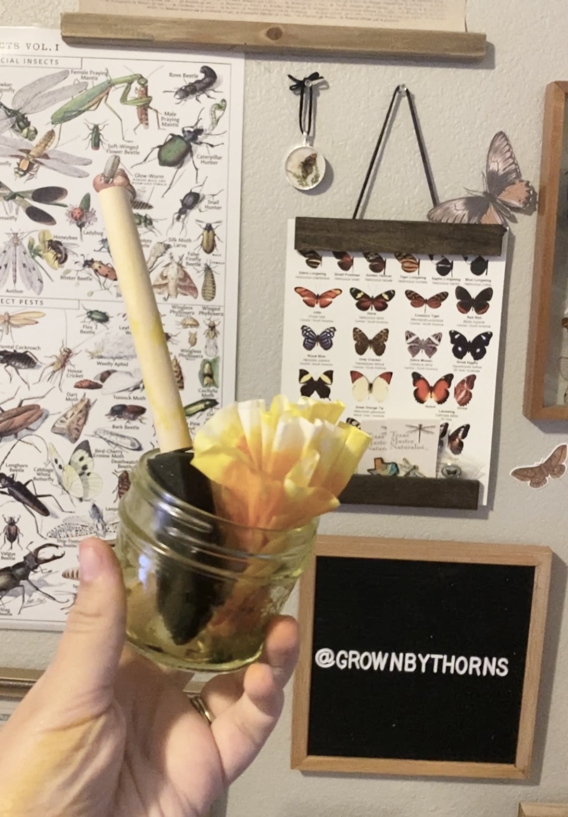 Turmeric Anthotype DIY - Grown by Thorns