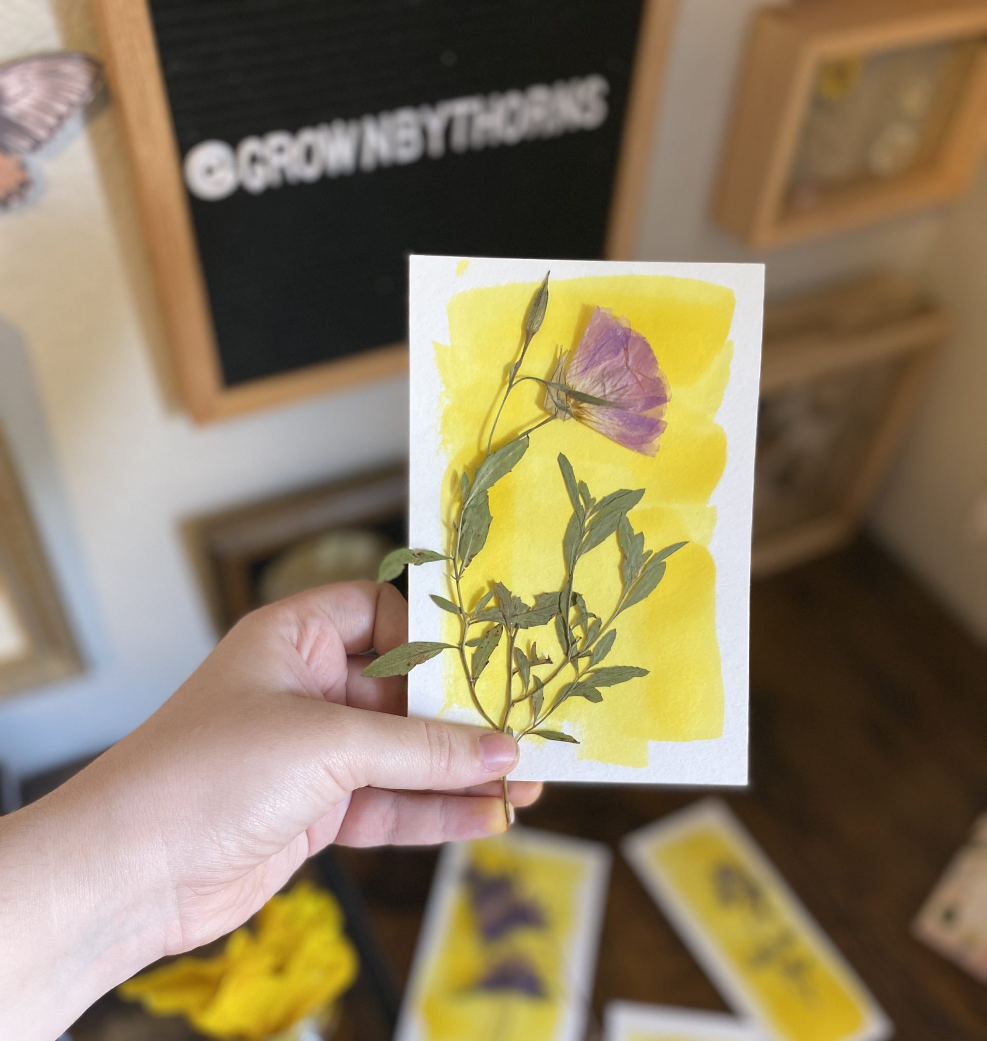 Turmeric Anthotype DIY - Grown by Thorns